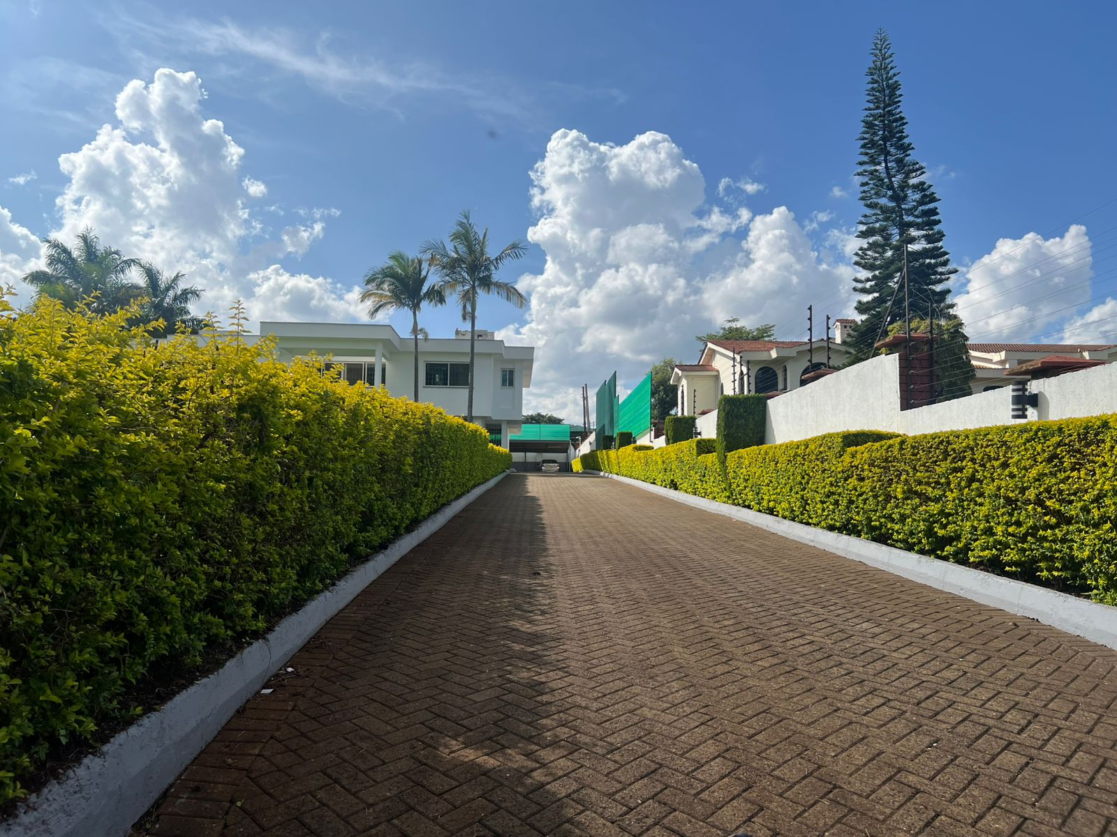 Commercial properties for rent in Gigiri